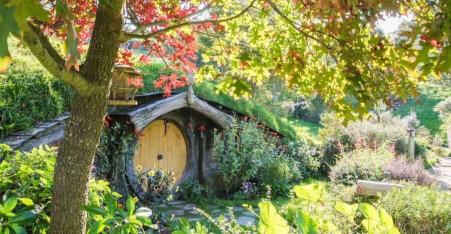 From Auckland: Hobbiton and Waitomo Day Tour with Lunch - Why This Tour Offers Great Value