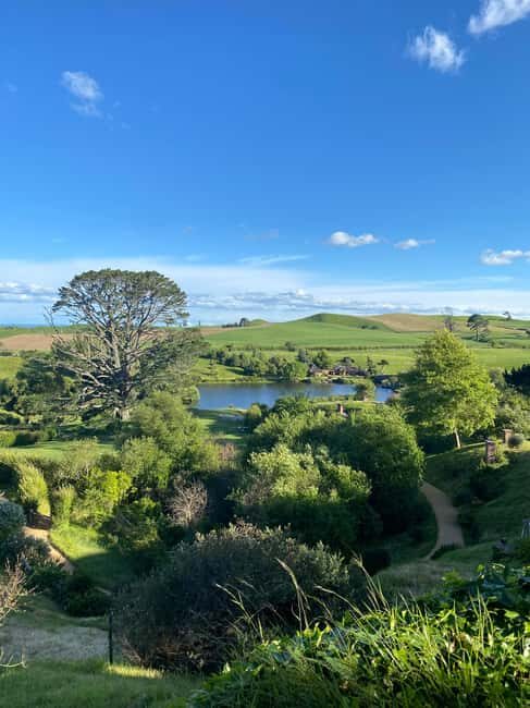 From Auckland: Hobbiton Movie Set and Waitomo Caves Tour - Waitomo Glowworm Caves