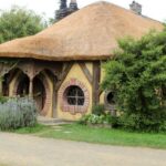 From Auckland: Hobbiton & Rotorua Tour with Lunch at Te Puia - Scenic Drive through Waikato & Bay of Plenty