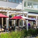 From Auckland: Kiwi Bird Encounter & 3-Course Dinner Tour - Final Thoughts: Who’s This Tour For?
