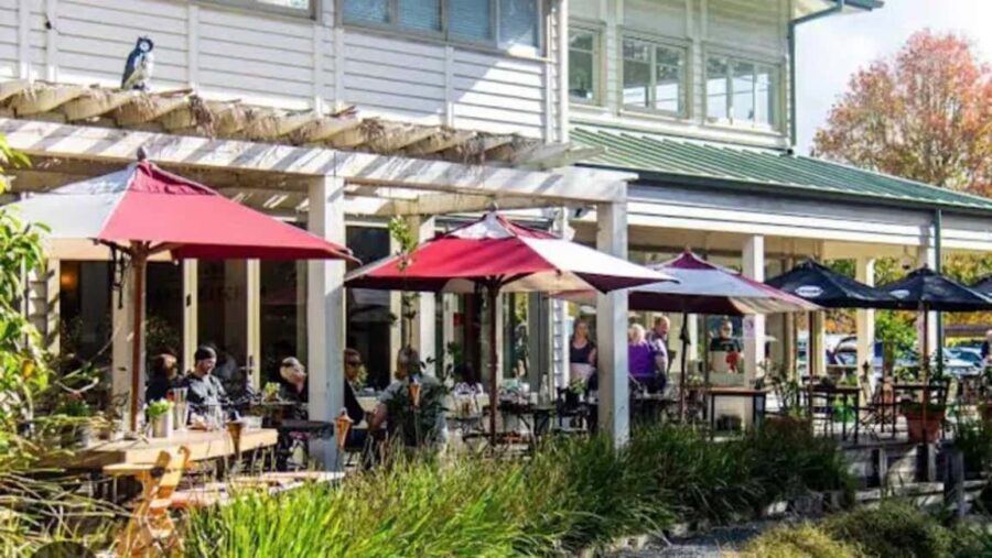 From Auckland: Kiwi Bird Encounter & 3-Course Dinner Tour - Final Thoughts: Who’s This Tour For?