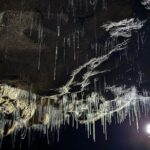 From Auckland : Spellbound Glow Worm Twin Caves Private Tour - The Itinerary in Detail: What Makes Each Stop Special
