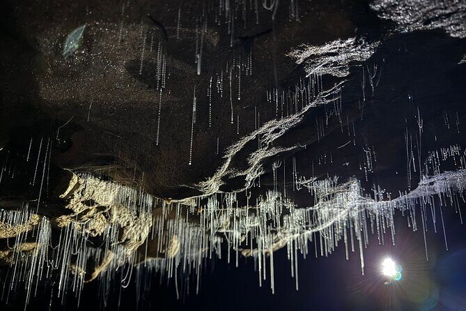 From Auckland : Spellbound Glow Worm Twin Caves Private Tour - The Itinerary in Detail: What Makes Each Stop Special