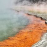 From Auckland: Two-Day Hobbiton, Rotorua, Waitomo Caves Tour - An in-Depth Look at the Tour Experience