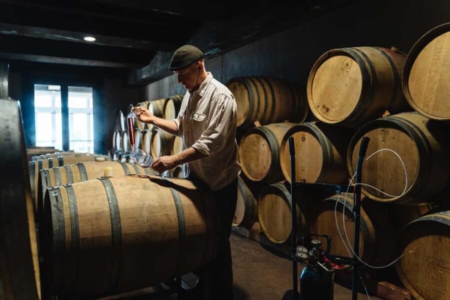 From Auckland: Waiheke Island Sip & Savour Tour with Lunch - An In-Depth Look at the Waiheke Island Sip & Savour Tour