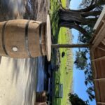 From Auckland: Waiheke Island Wine Cellar Tour - The Value of the Waiheke Wine Cellar Tour