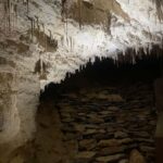 From Auckland: Waitomo Caves and Kiwi House Group Tour - What To Expect on Your Day Trip