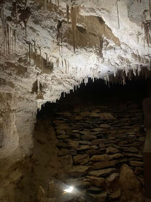 From Auckland: Waitomo Caves and Kiwi House Group Tour - What To Expect on Your Day Trip