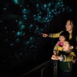 From Auckland: Waitomo Caves and Kiwi House Small Group Tour - Authentic Experiences and Real Traveler Feedback