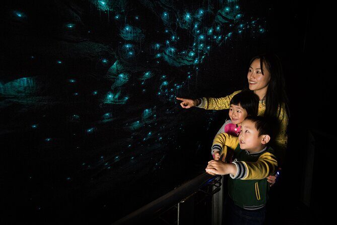 From Auckland: Waitomo Caves and Kiwi House Small Group Tour - Authentic Experiences and Real Traveler Feedback