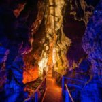From Auckland: Waitomo Glowworm and Ruakuri Caves Day Tour - Waitomo Glowworm Caves: A Night Sky Beneath Your Feet