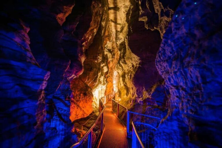 From Auckland: Waitomo Glowworm and Ruakuri Caves Day Tour - Waitomo Glowworm Caves: A Night Sky Beneath Your Feet