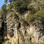 From Auckland: Waitomo Glowworm & Cave Explorer Small Group Tour - Price and Value