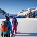 From Banff: Icefields Parkway & Abraham Lake Ice Bubbles - What Is Included and What To Consider
