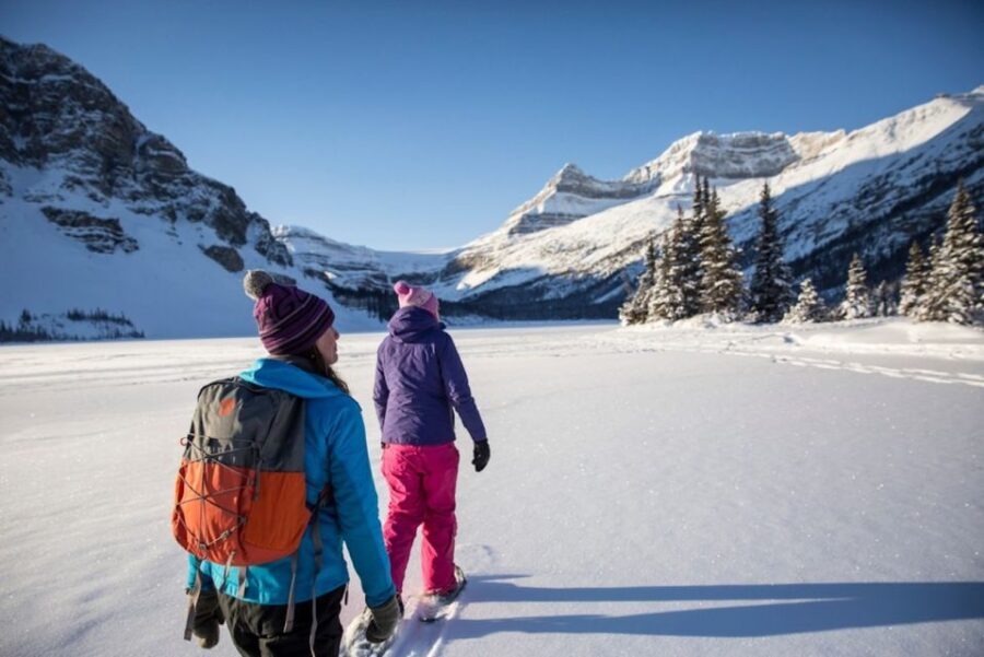 From Banff: Icefields Parkway & Abraham Lake Ice Bubbles - What Is Included and What To Consider