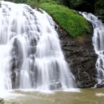 From Bangalore: 7 Days Coorg & Hassan Heritage Private Tour - Final Thoughts: Is This Tour Right for You?
