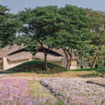 From Bangkok: Ayutthaya Temples & Gallery Boathouse Tour - Exploring the Itinerary in Depth