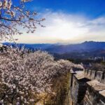 From Beijing: Mutianyu Great Wall Full-Day Tour With Options - What the Tour Includes and What to Expect