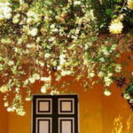 From Bentota/Beruwala: Lunuganga & Brief Garden Marvels Tour - What This Tour Means for You
