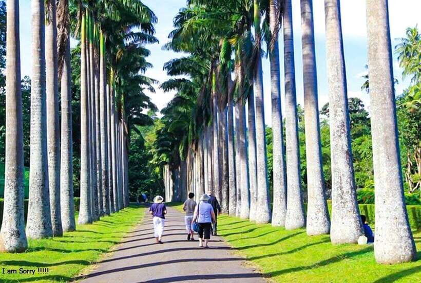 From Bentota/Kalutara: Magical Journey to Kandy & Pinnawala - Final Thoughts: Is This Tour Right for You?