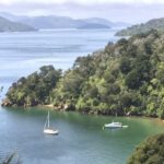 From Blenheim/Picton: Marlborough Gourmet Wine Tasting Tour - Authentic Reviews: What Past Travelers Say