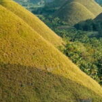 From Bohol & Panglao Island: Full-Day Bohol Tour - Transportation, Guides, and Group Dynamics