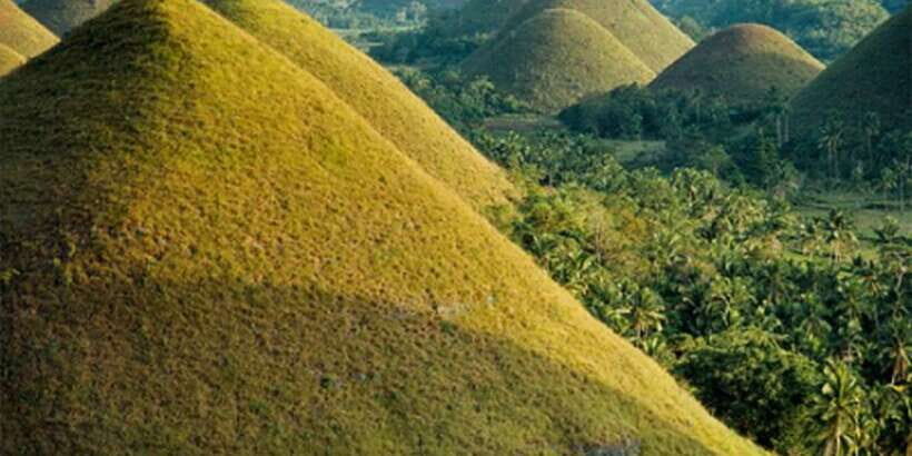 From Bohol & Panglao Island: Full-Day Bohol Tour - Transportation, Guides, and Group Dynamics