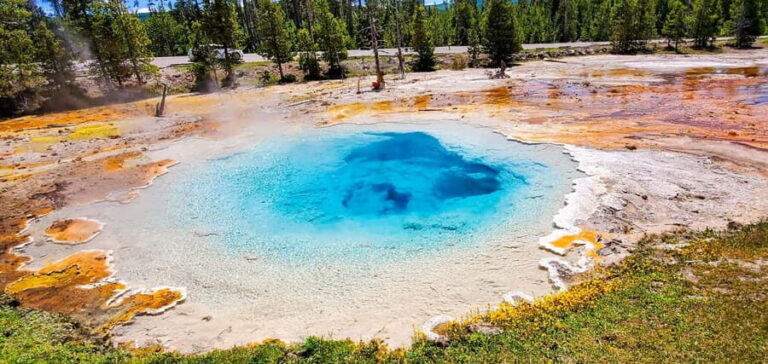 From Bozeman: Yellowstone Day Tour (Lower Loop) - The Experience of the Guide and Group Atmosphere