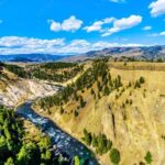 From Bozeman: Yellowstone Day Tour (Upper Loop) - What Travelers Say: Pros and Cons