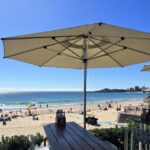 From Brisbane: Australia Zoo & Coastal Delights - What Makes This Tour Stand Out?