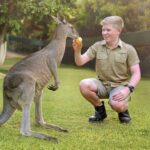 From Brisbane: Australia Zoo Ticket and Roundtrip Transfer - The Scenic Coach Ride: A Highlight in Its Own Right