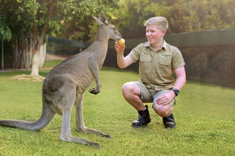From Brisbane: Australia Zoo Ticket and Roundtrip Transfer - The Scenic Coach Ride: A Highlight in Its Own Right