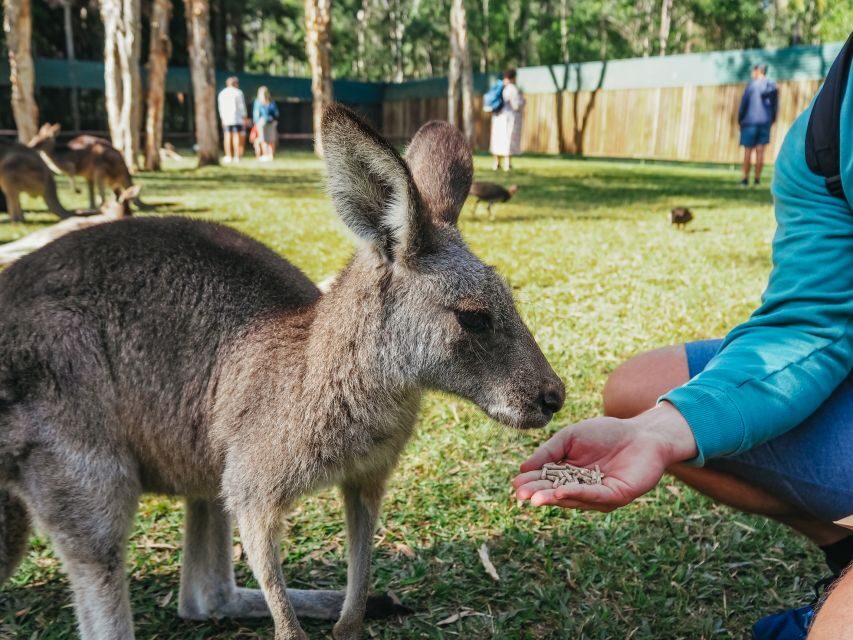 From Brisbane: Australia Zoo Transfer and Entry Ticket - Inside the Australia Zoo