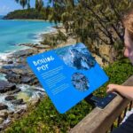 From Brisbane: Day Trip to Noosa, Glass House Mtns and Zoo - Assessing Value and Practicalities