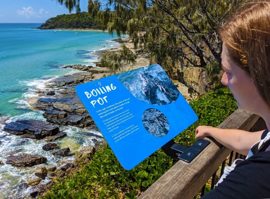 From Brisbane: Day Trip to Noosa, Glass House Mtns and Zoo - Assessing Value and Practicalities