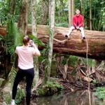 From Brisbane: Maiala Rainforest Private Tour - Exploring Queensland’s Subtropical Forests