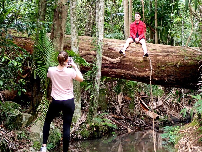 From Brisbane: Maiala Rainforest Private Tour - Exploring Queensland’s Subtropical Forests