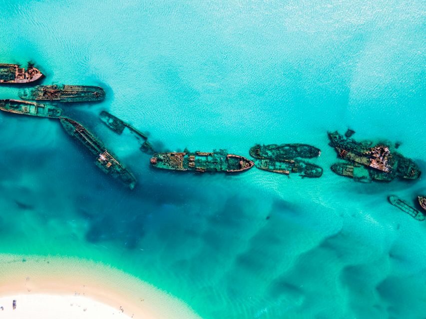 From Brisbane: Moreton Island Full-Day Trip - Who Should Consider This Tour?