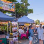 From Brisbane: Noosa, Eumundi and Montville Full Day Tour - The Experience: What You Can Expect