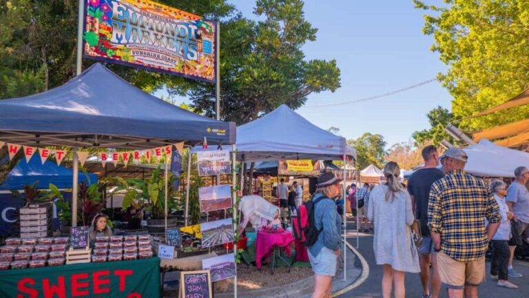 From Brisbane: Noosa, Eumundi and Montville Full Day Tour - The Experience: What You Can Expect