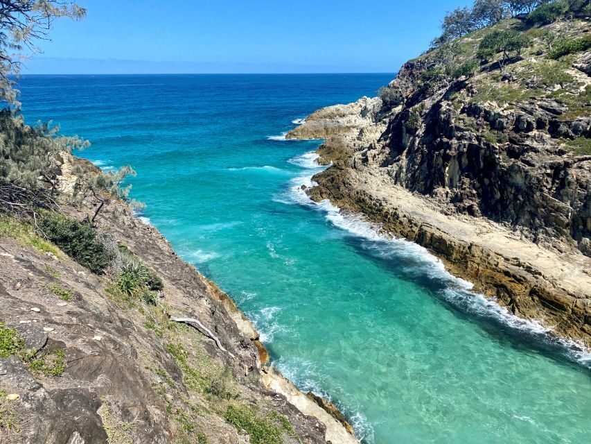 From Brisbane: North Stradbroke Island Wildlife Adventure - The Experience & Its Value