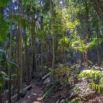From Brisbane: Tamborine Mountain and Paradise Point Tour - The Practicalities