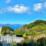 From Busan: Enchanting Oedo Island Day Tour with Windy Hill - Who Will Love This Tour?