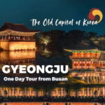 From Busan: Gyeongju Full-Day Historical Tour - What to Expect on This Gyeongju Day Trip