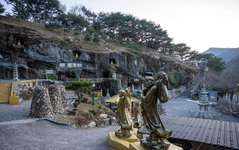 From Busan: Ulsan Full-Day Private Tour with Licensed Guide - Who Will Enjoy This Tour Most?