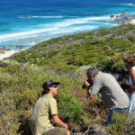 From Busselton: Half-Day Coastal and Wildlife Eco Tour - The Experience: What It Means for Travelers