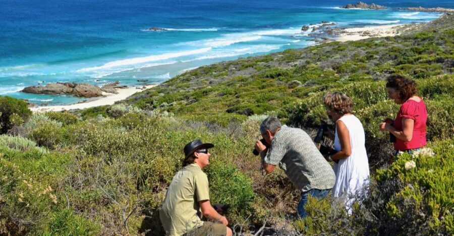 From Busselton: Half-Day Coastal and Wildlife Eco Tour - The Experience: What It Means for Travelers