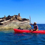 From Cabo: Cabo Pulmo Marine Park Snorkeling and Kayaking - The Journey to Cabo Pulmo: What to Expect