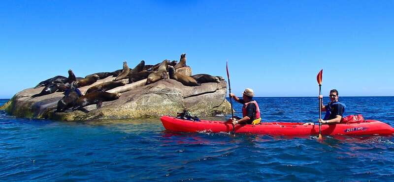 From Cabo: Cabo Pulmo Marine Park Snorkeling and Kayaking - The Journey to Cabo Pulmo: What to Expect