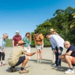 From Cairns: 3-Day Reef, Rainforest, and Outback Package - A Deep Dive into the 3-Day Cairns Tour